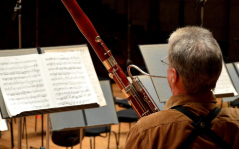 Bassoon Buying Guide