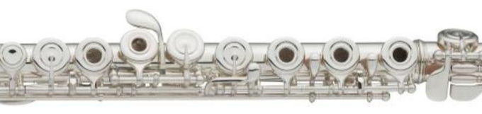 Upgrade Your Flute: Beginner vs. Intermediate Flutes